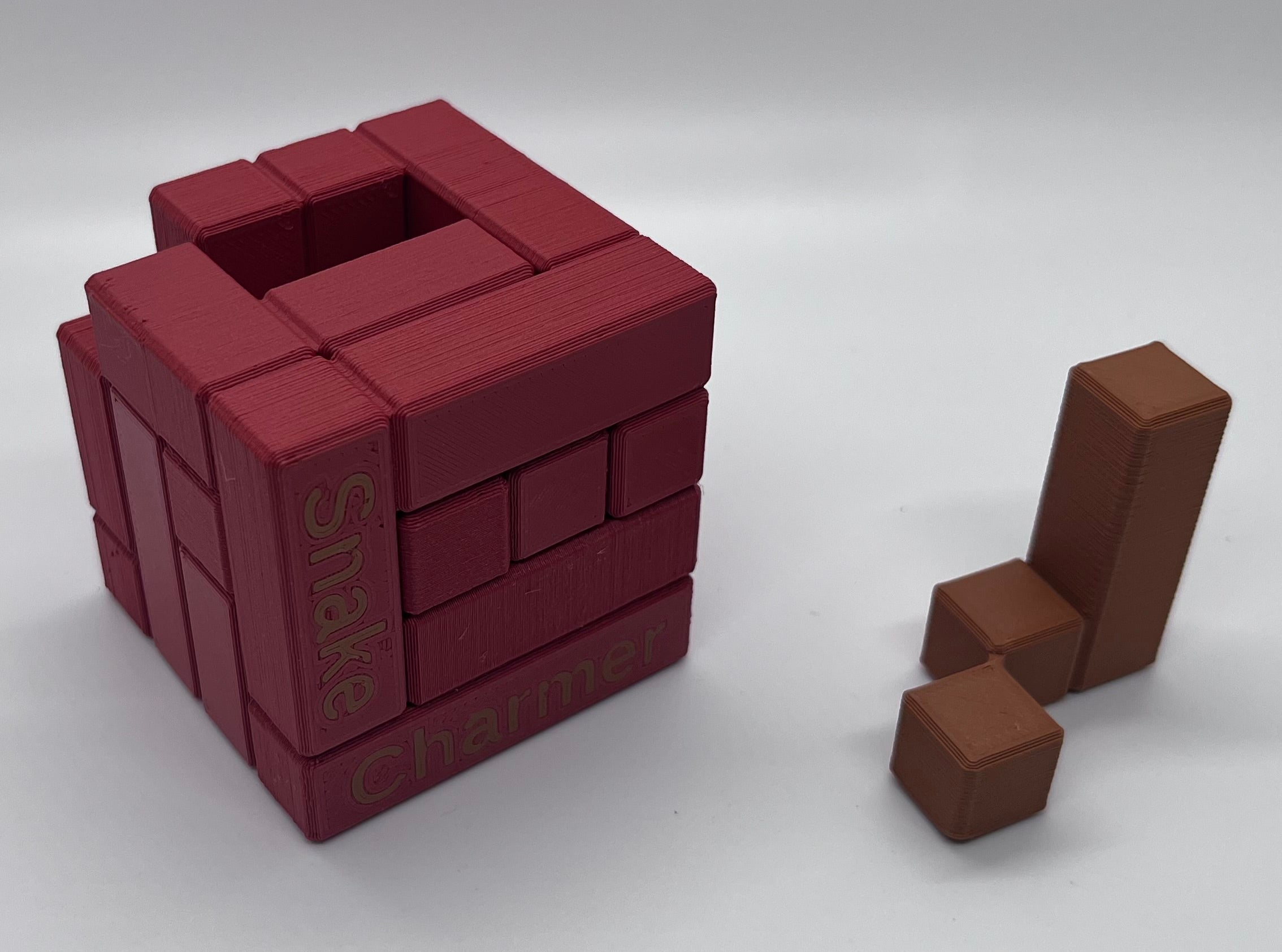 Snake Charmer - 3D Printed Wood Filament Puzzle – ARCpuzzles.com