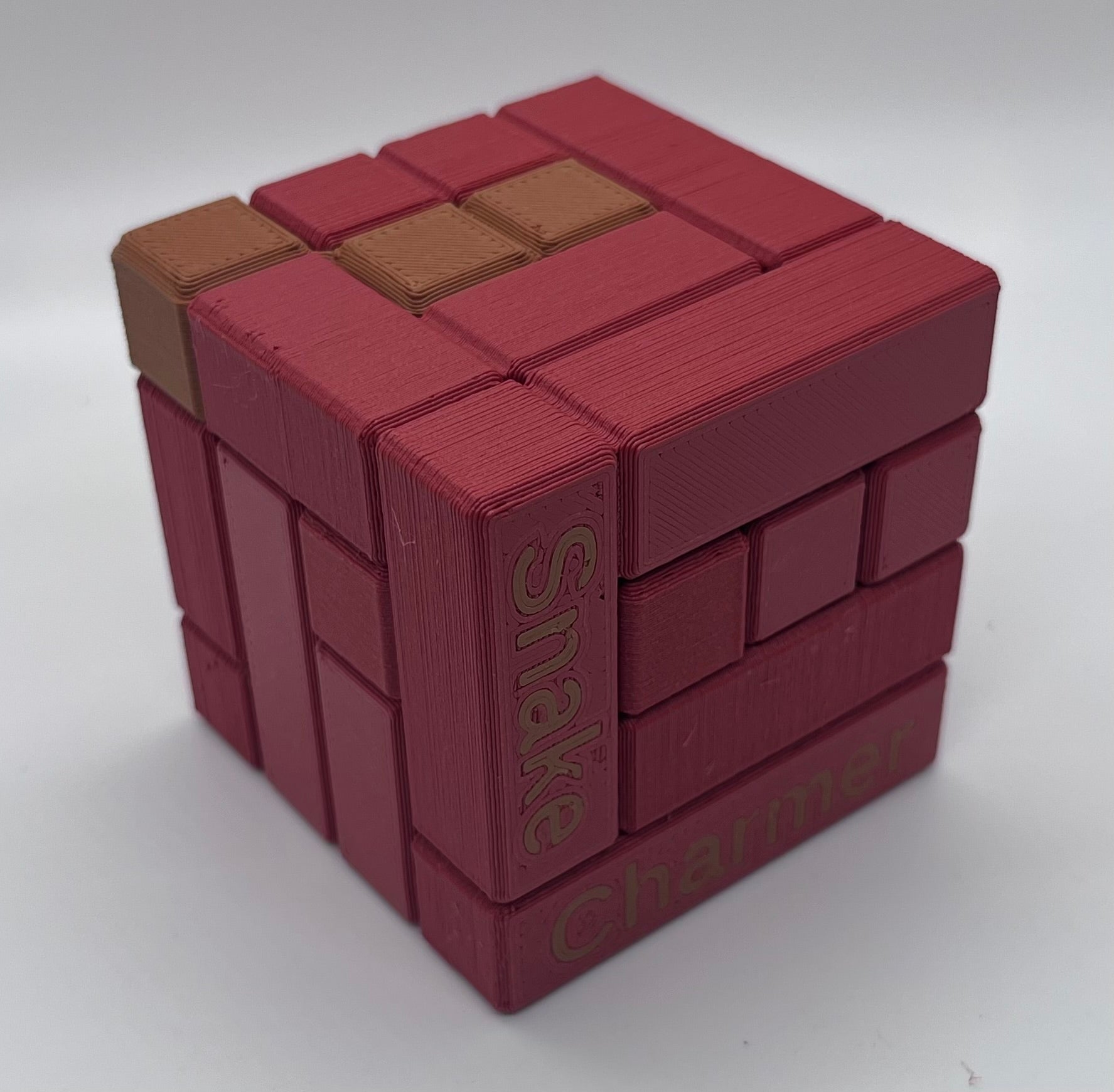 Snake Charmer - 3D Printed Wood Filament Puzzle – ARCpuzzles.com